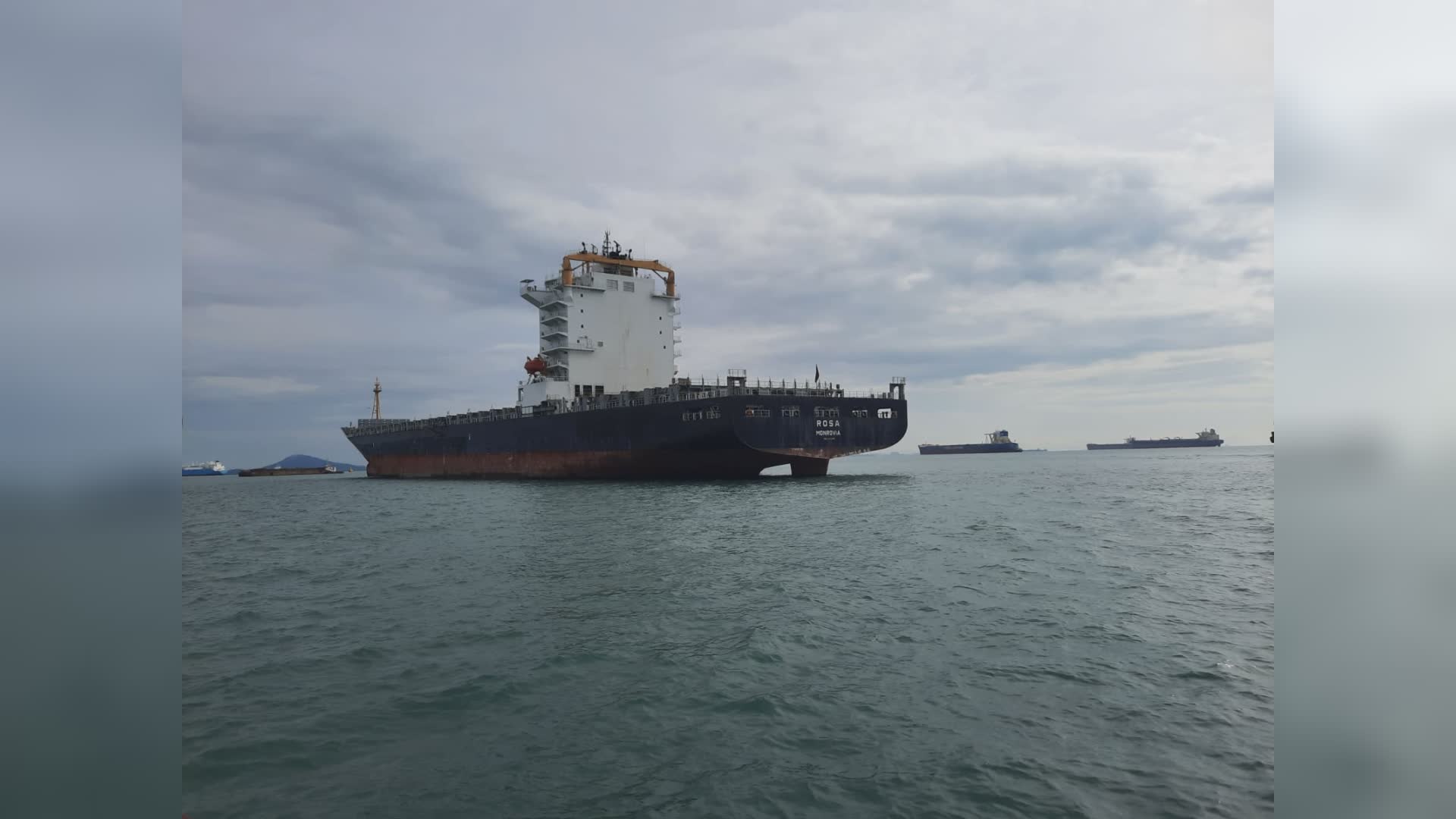 La portacointainer "Jolly Rosa" entra nella flotta del gruppo Messina ...