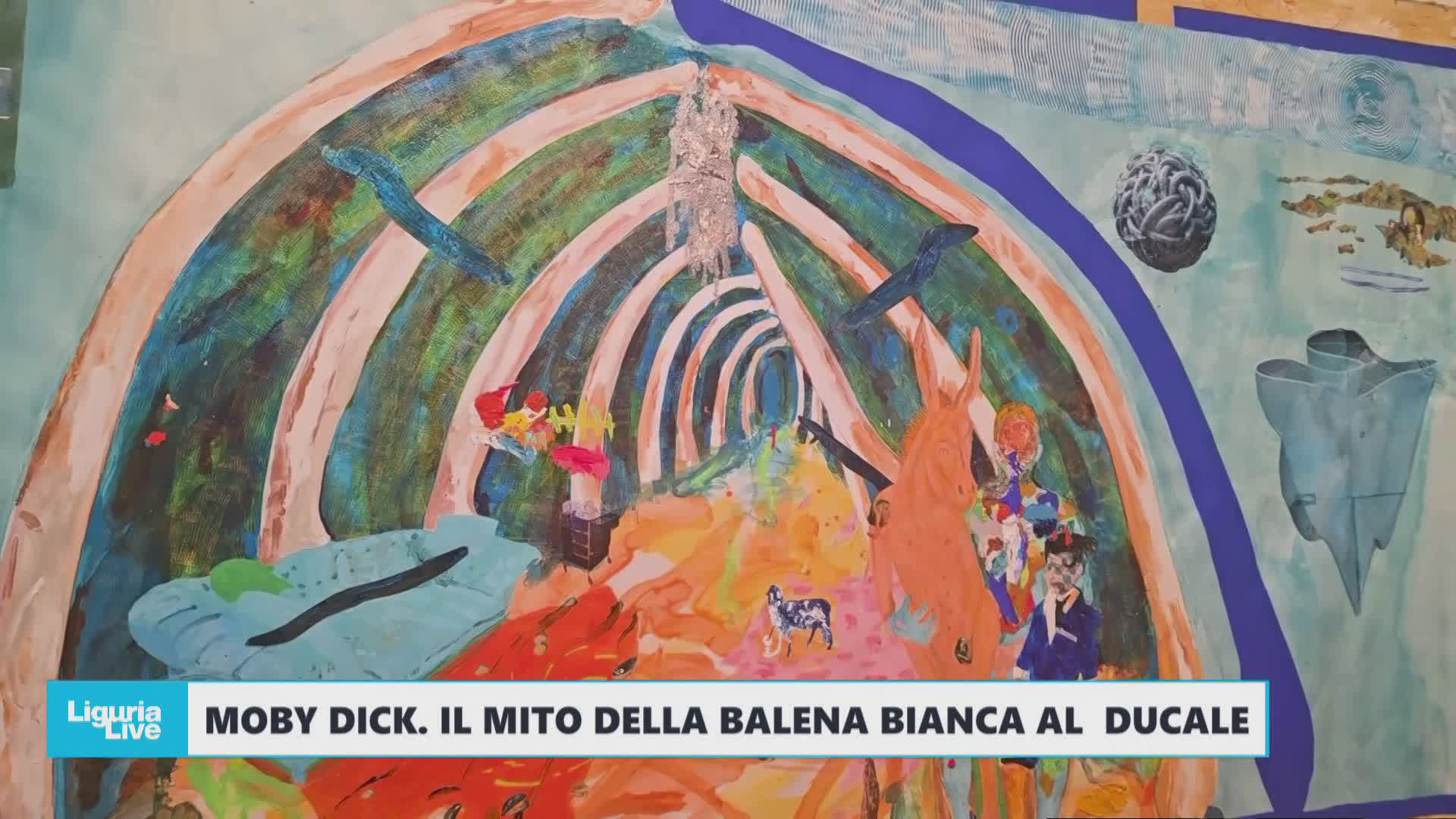 Moby Dick, il mito della balena bianca più famosa della letteratura ...